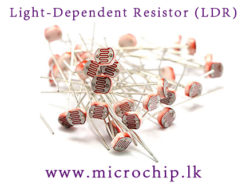 LDR light dependent resistor 5mm Photoconductive resistance – Microchip.lk